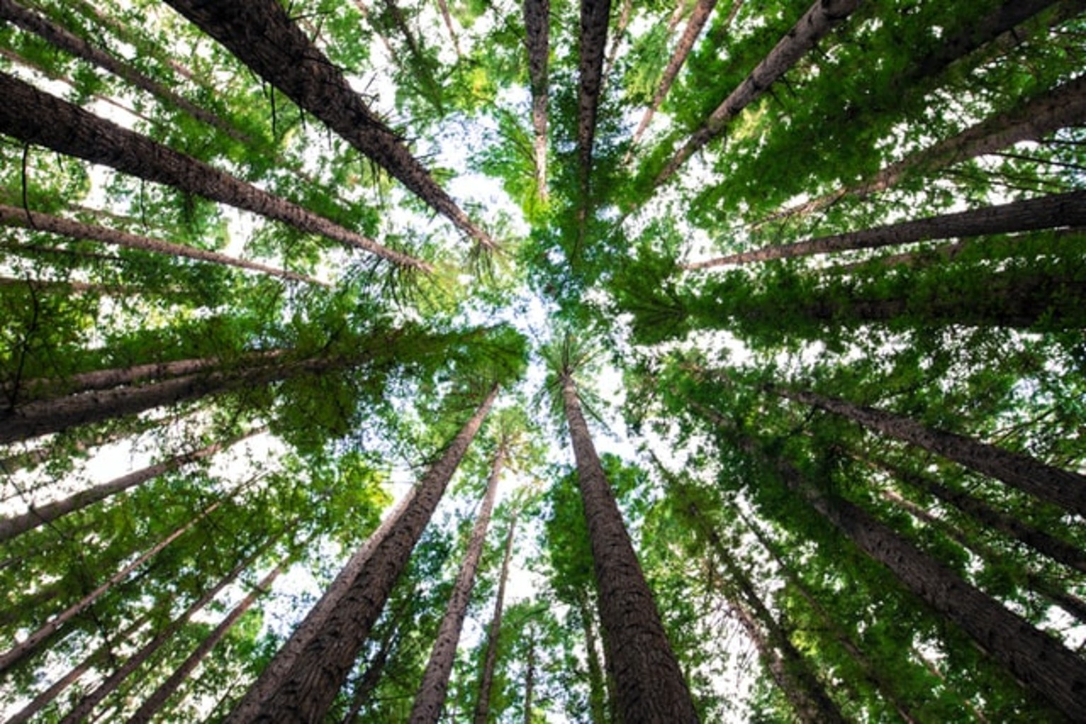 A Guide To Dealing With Eco Anxiety In Children