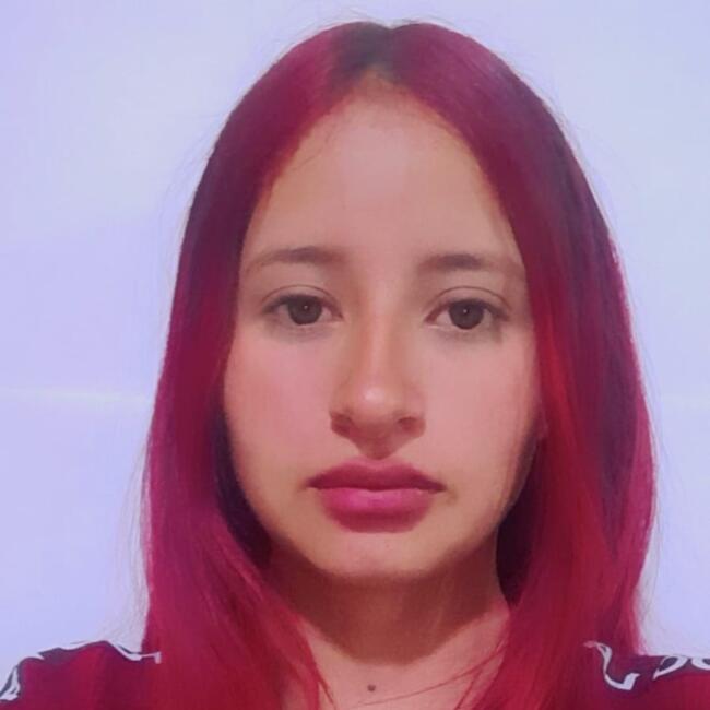 Anyeli Josefina - Trabajo para niñera en Tambo (Junin) | Babysits