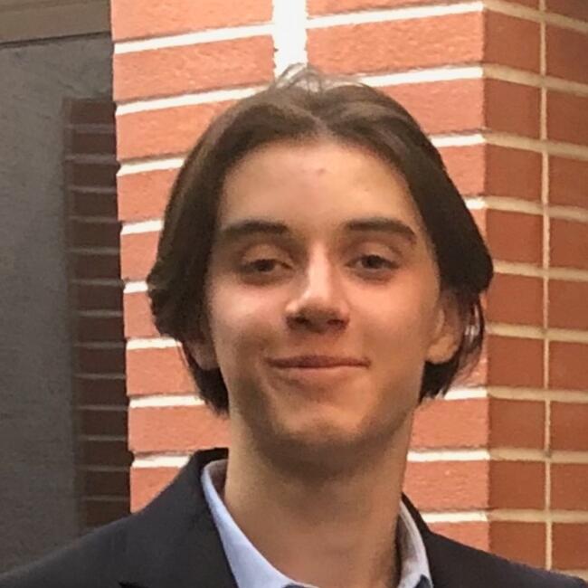 Louis (19) - Baby-sitter à Toulouse | Babysits